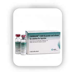 أفنان لخدمات الثروة الحيوانية