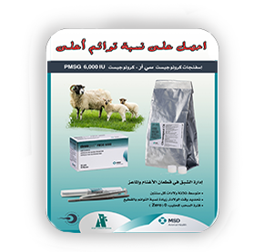 أفنان لخدمات الثروة الحيوانية