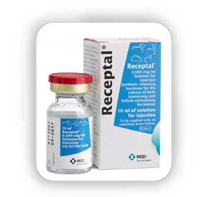 أفنان لخدمات الثروة الحيوانية